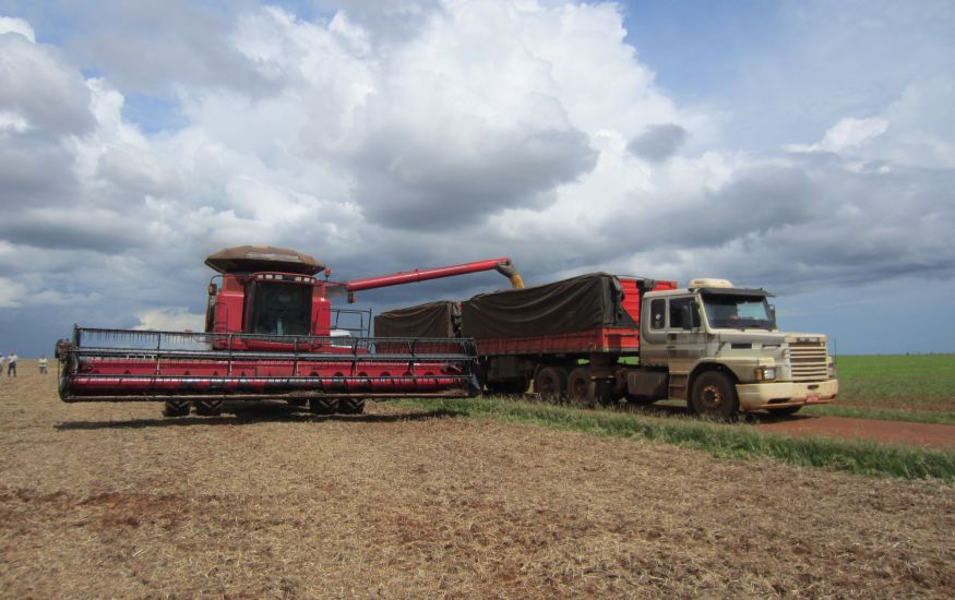 Brazil Ag Tours, Brazil Farm Tours, Brazil Agriculture Tour, Brazil ...